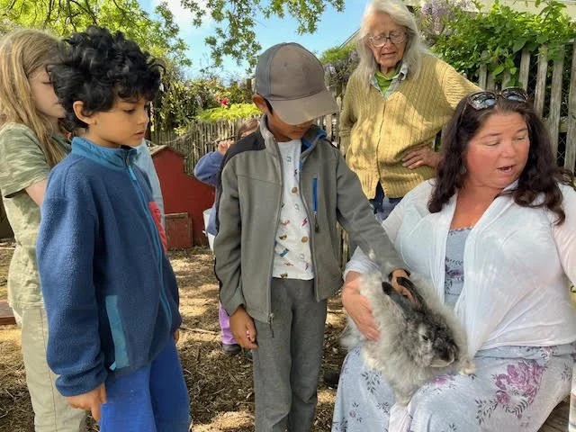 What comes from the ground? Windrush farm visit — Brightworks School ...