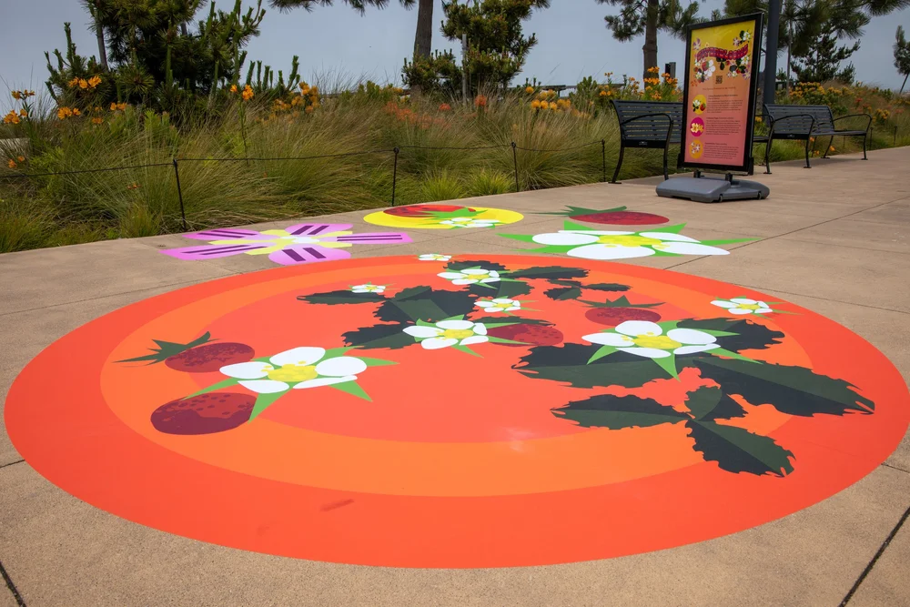 Our Location | Brightworks - Hands-On, Project-Based Learning in San ...