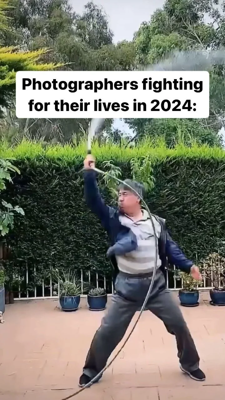 Gallery — KATIE EMANUELSON PHOTOGRAPHY