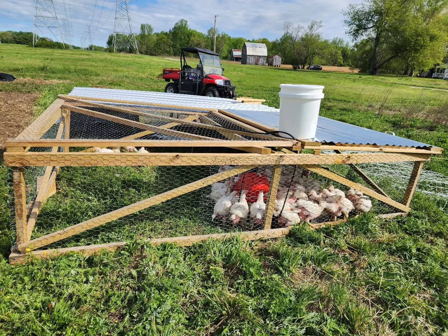 Pasture-Raised Food vs. Factory/Feed Lot — Foxfire Farm