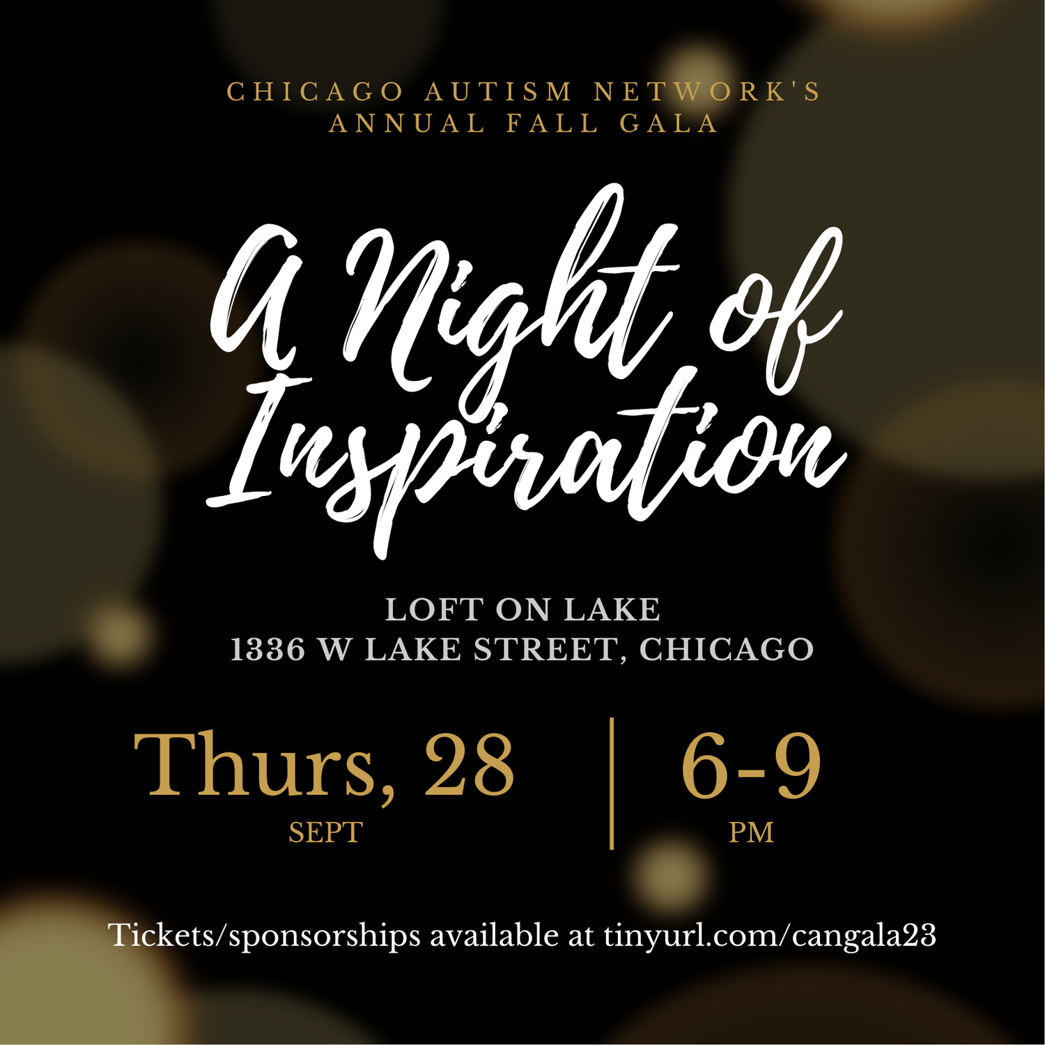 Fundraisers — Chicago Autism Network