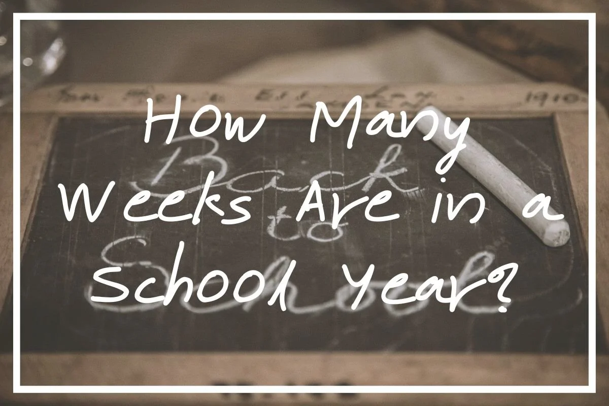 How Many Weeks In A School Year In The US Find Out Here Wise