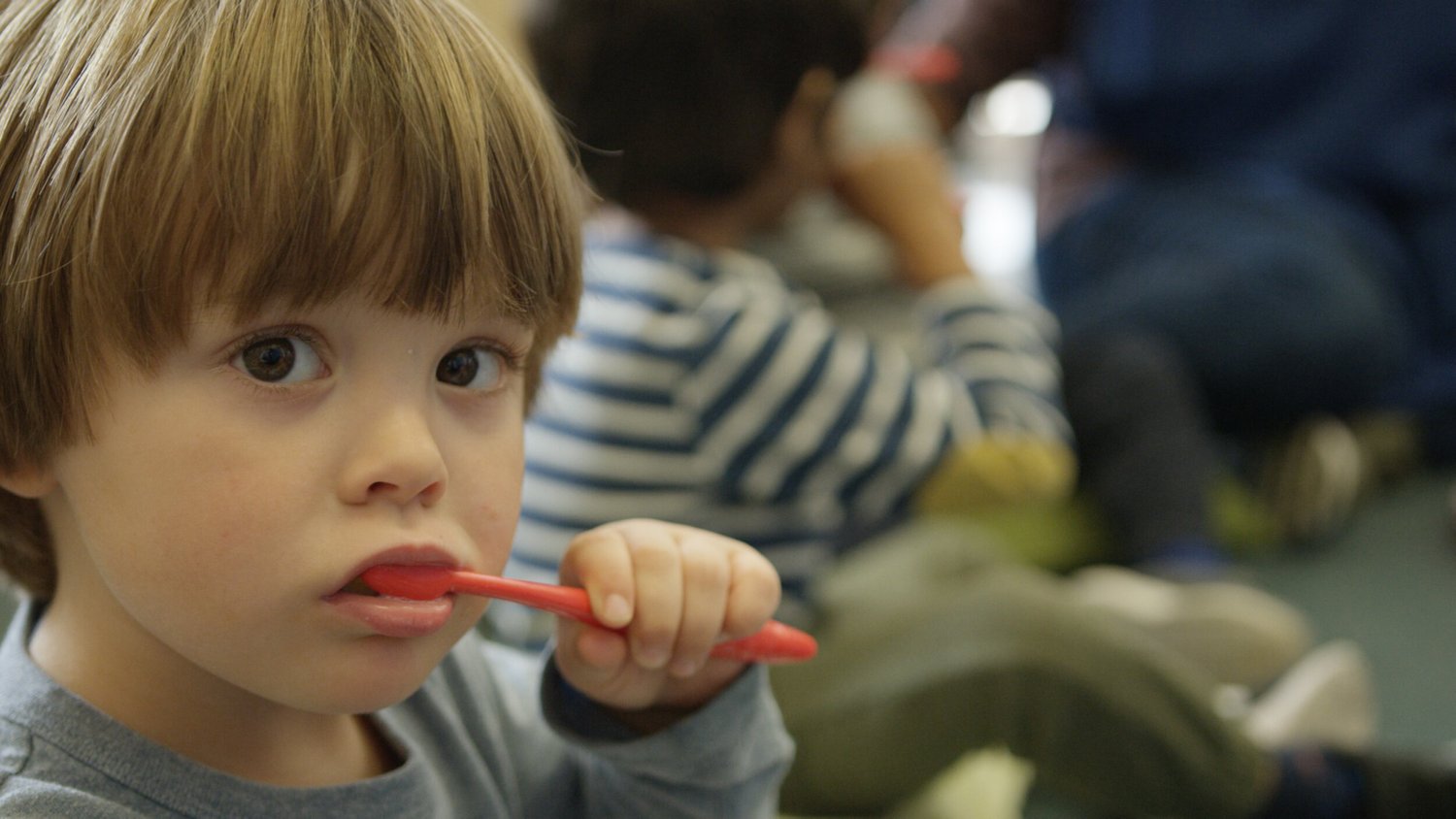 About — Dental Wellness Trust