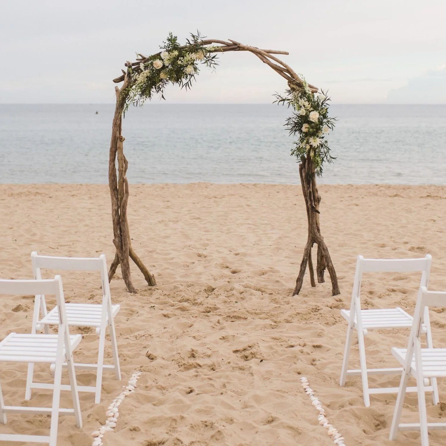 Driftwood Arch | Borrow The Moon