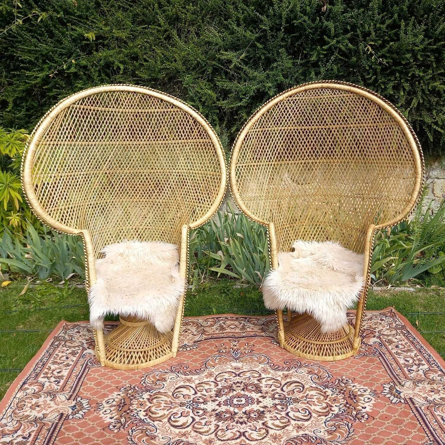 Peacock Chair Hire Devon & Cornwall | Borrow The Moon