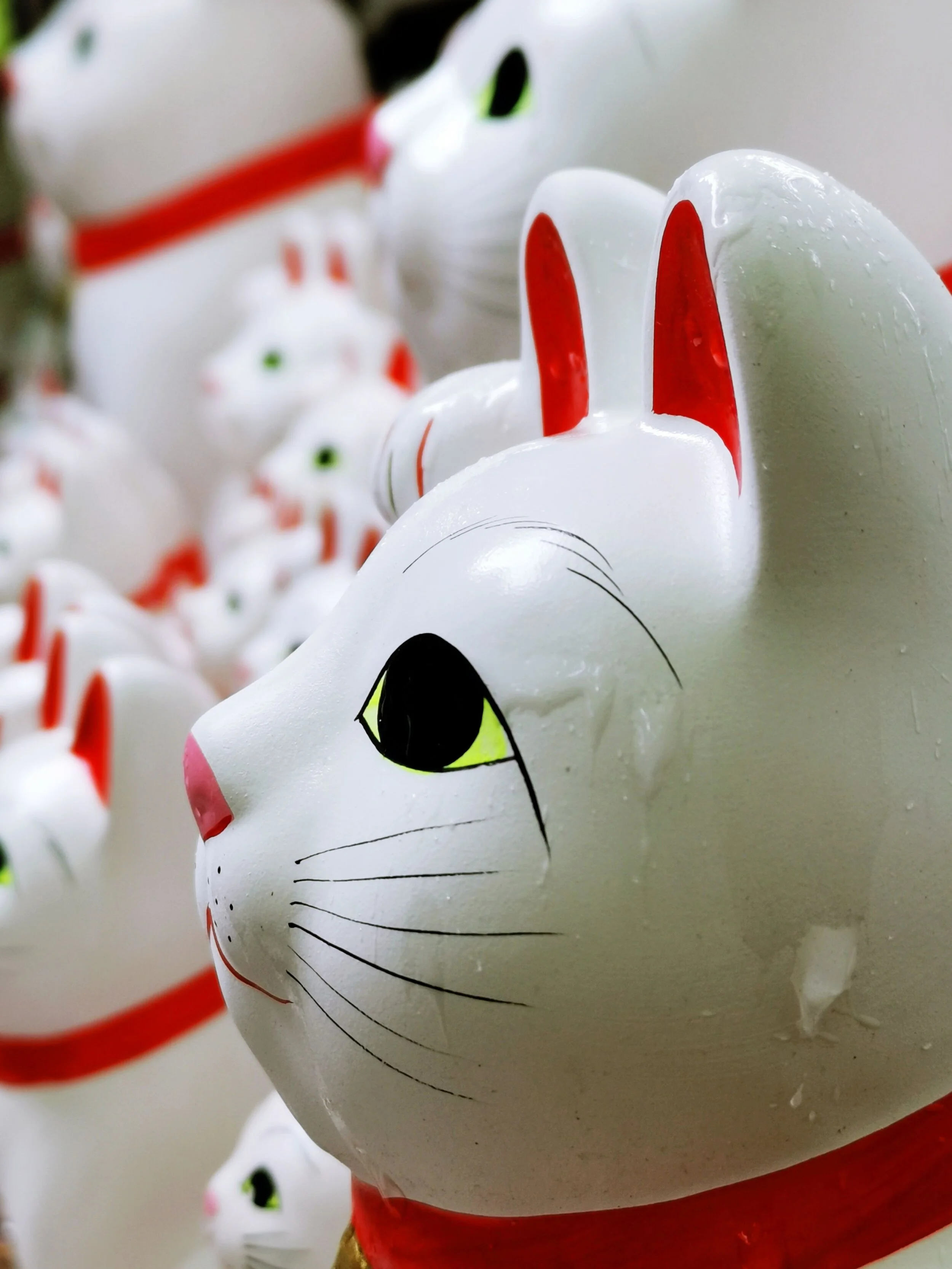 Gotokuji Temple - a must see for Lucky Cat lovers in Tokyo, Japan ...