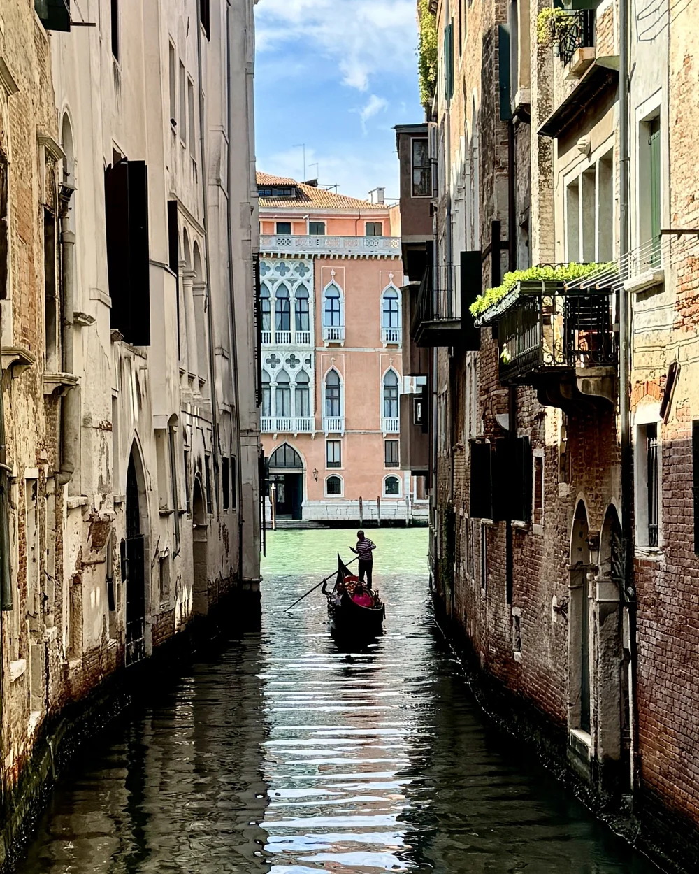 The Contemporary Art Lover's Guide to Venice, Italy — pursuit of art