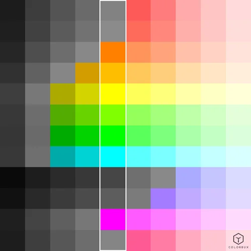 What Colors Make You Look Fat? (And Which Ones Don't) — COLORBUX