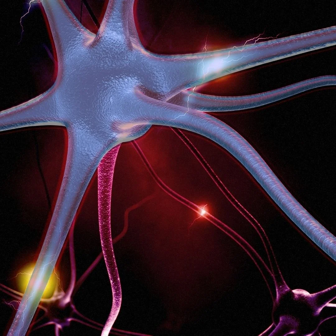 What Is Nerve Compression Syndrome?- Occupational Therapy Near Westbury ...