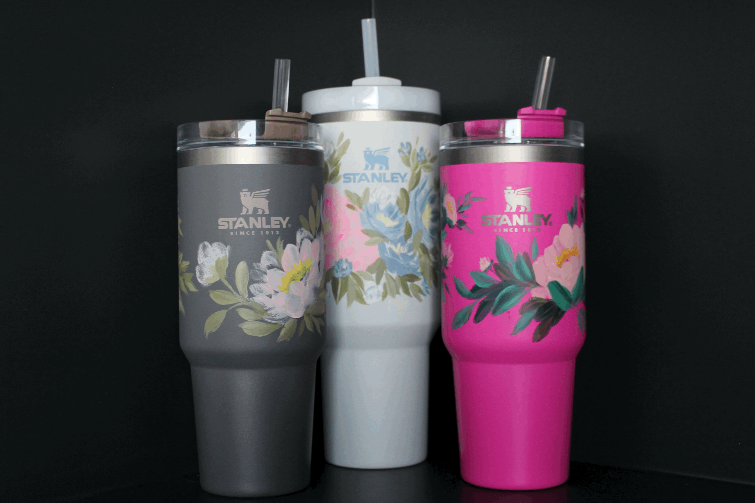 Painted Tumblers — Melanie Haggard