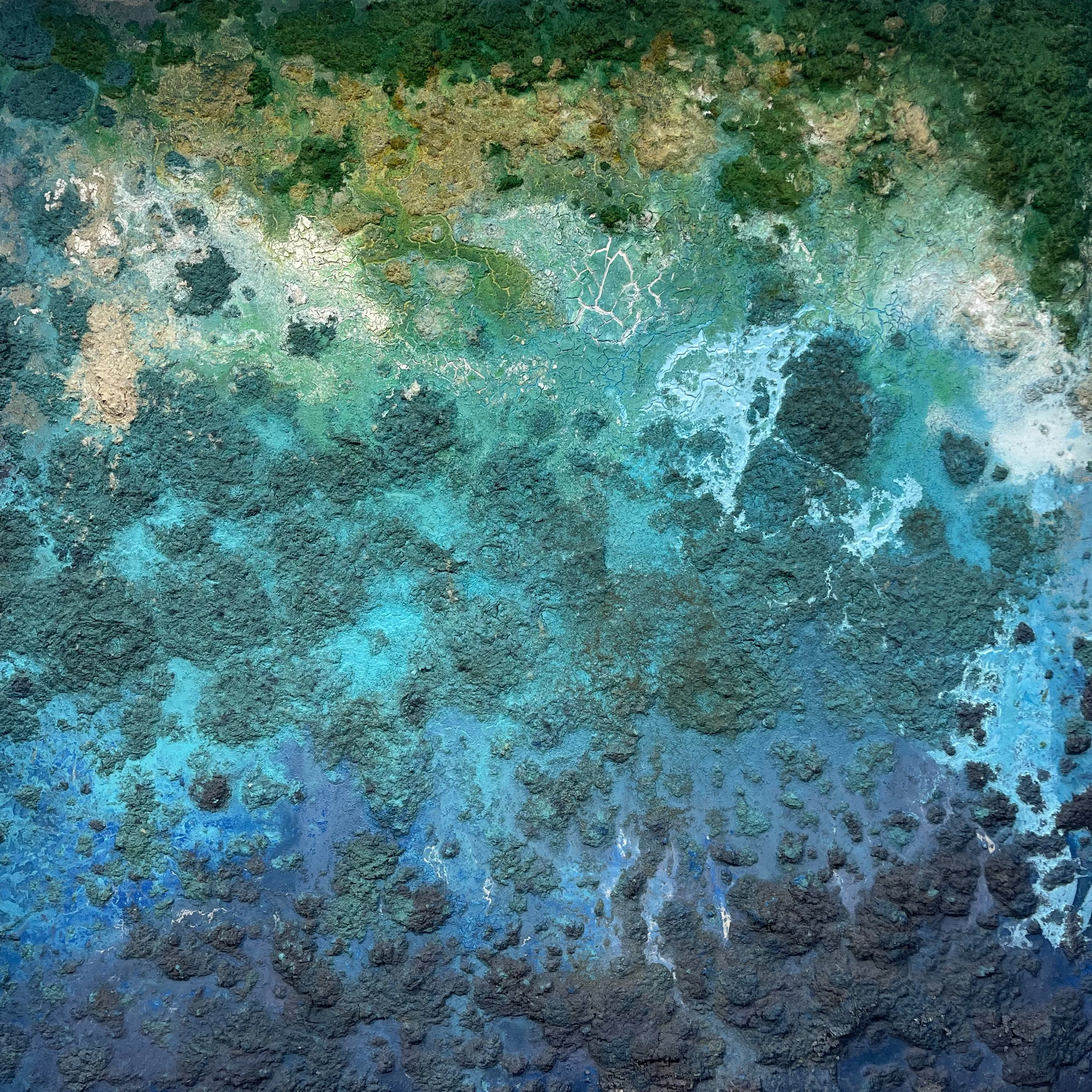 Terrain Beach — Ed Nash Fine Art