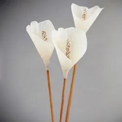 Flower Scale