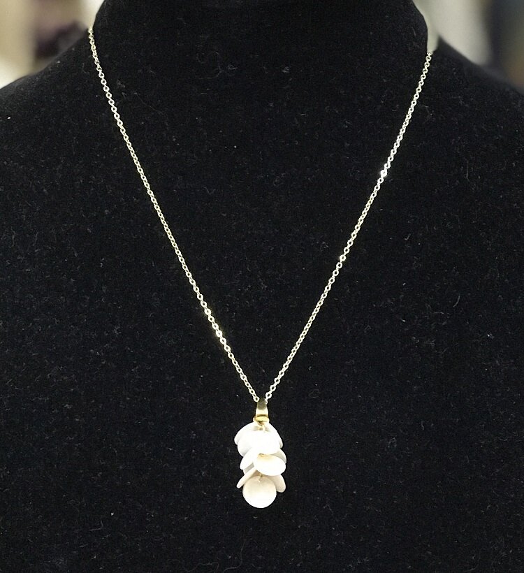 Fish Scales — TERRA AMAZONIA