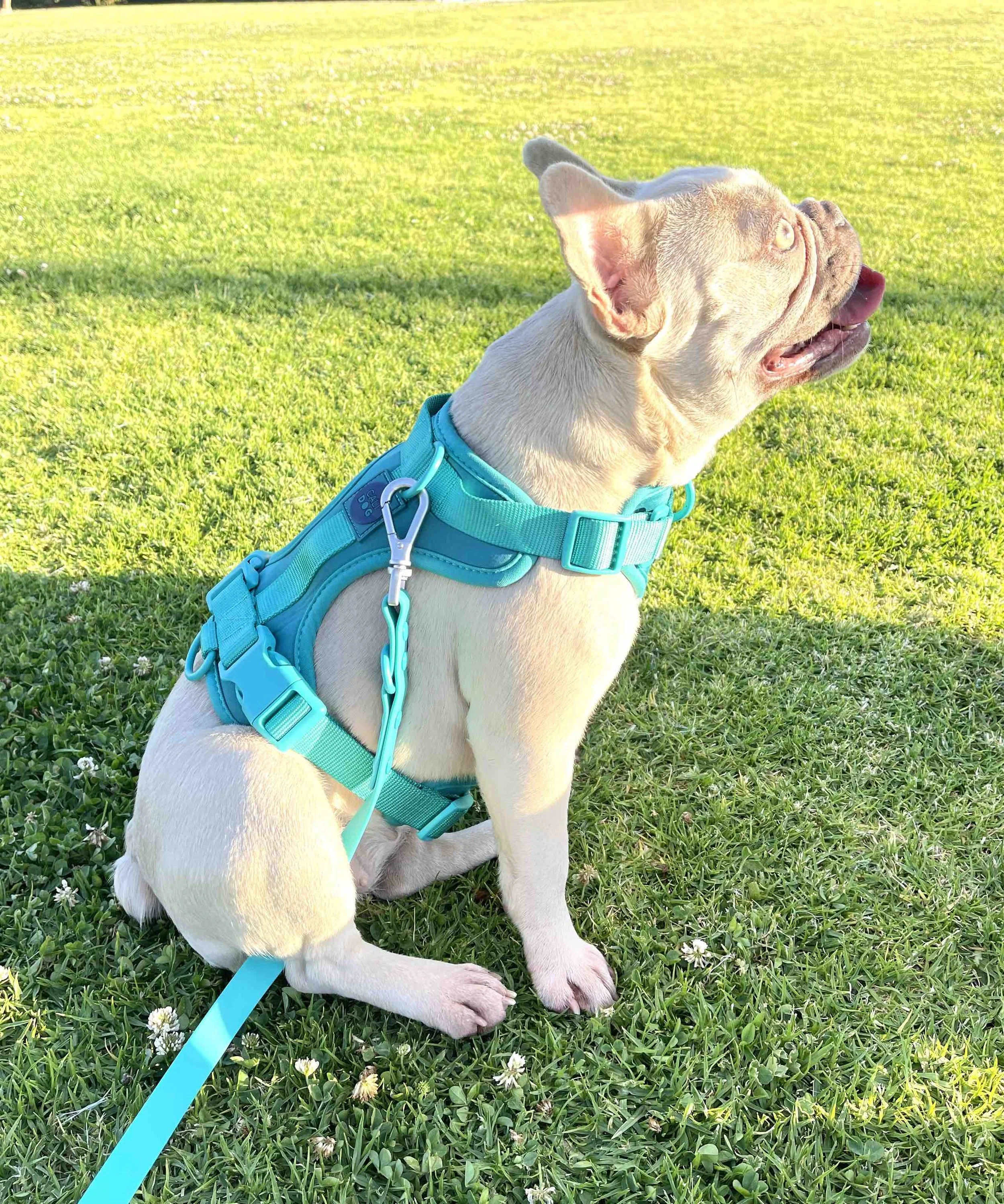 Red Waterproof Dog Harness — CALIDOG