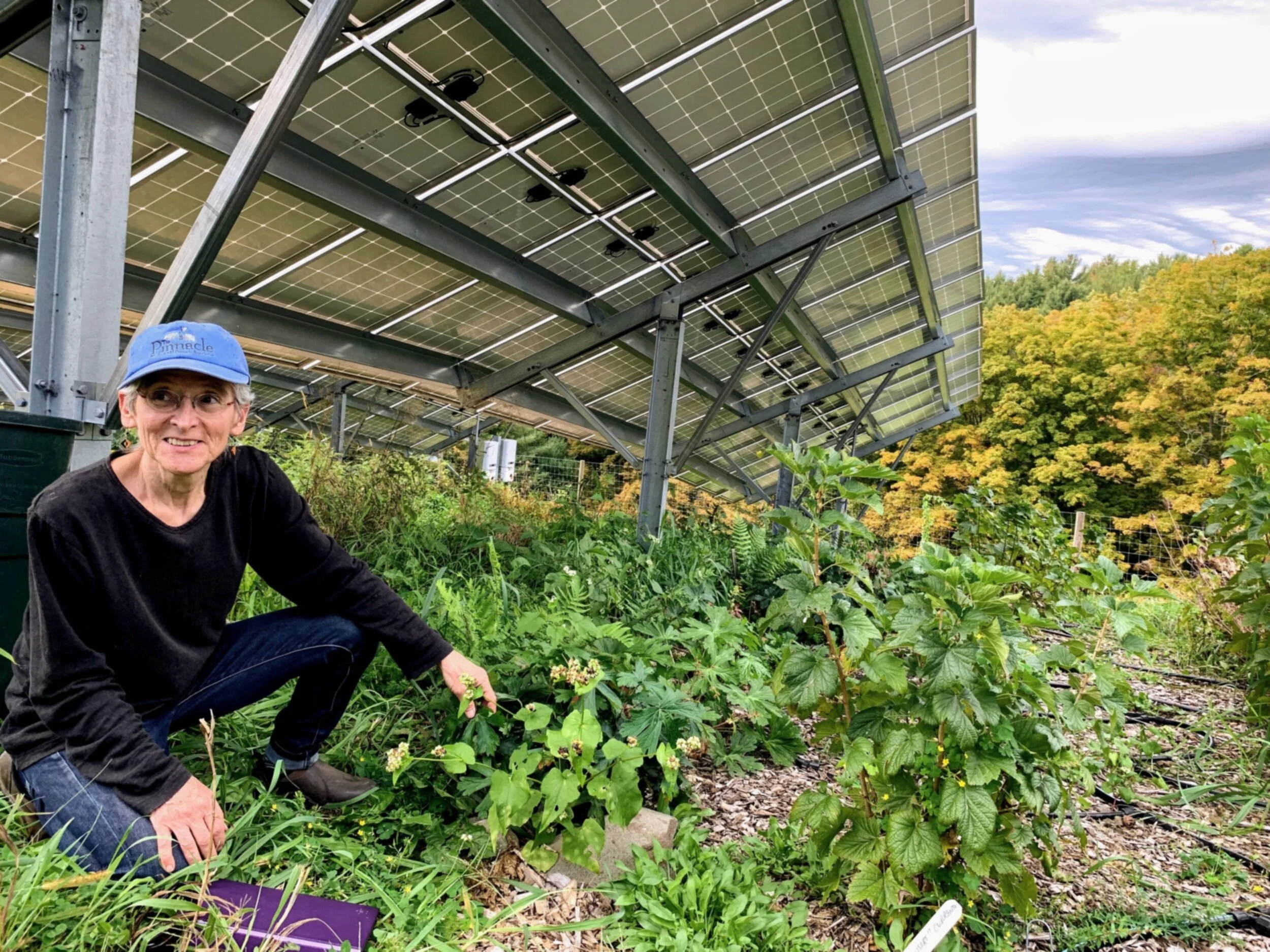 About Us — Sowing Peace Farm