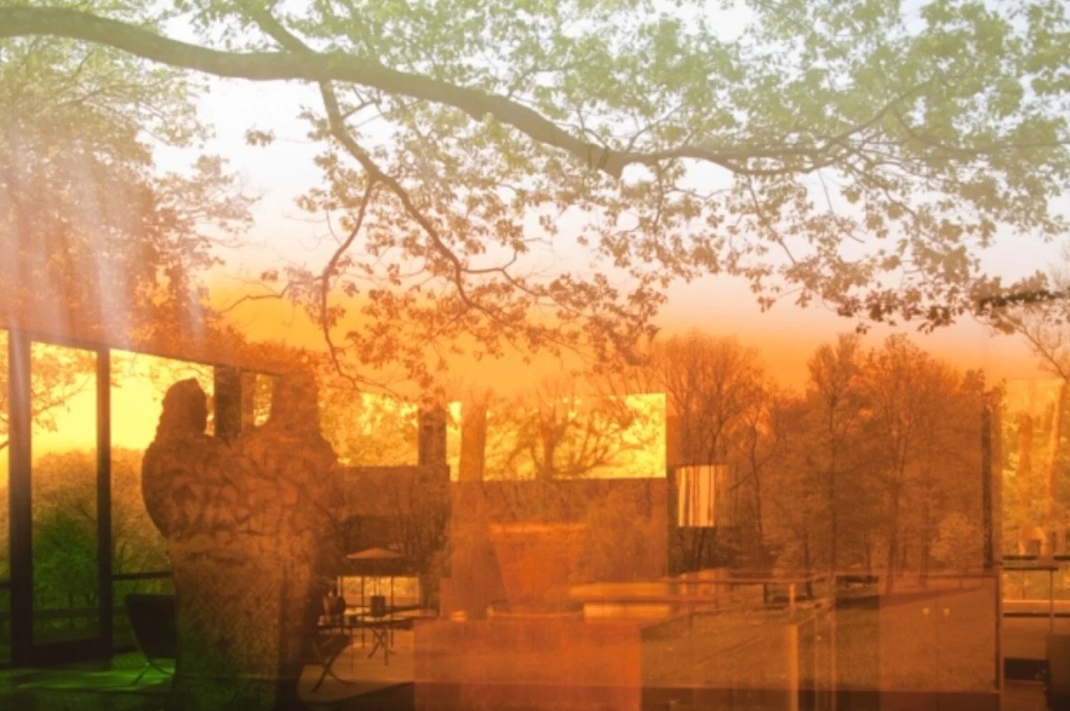 James Welling — The Artist Profile Archive