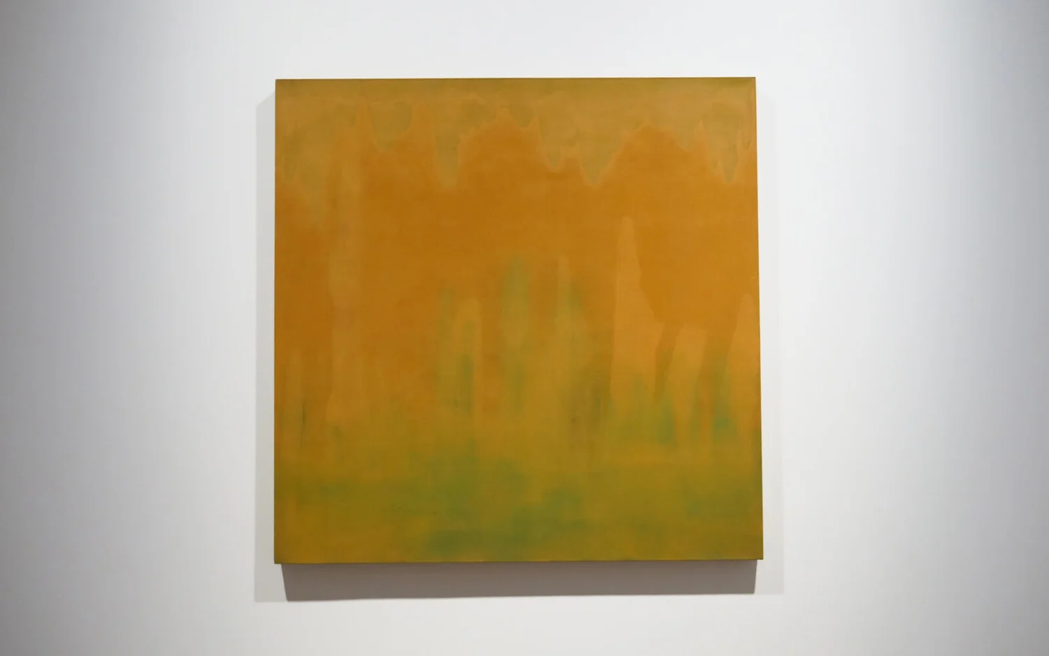 Artist Virginia Jaramillo — The Artist Profile Archive