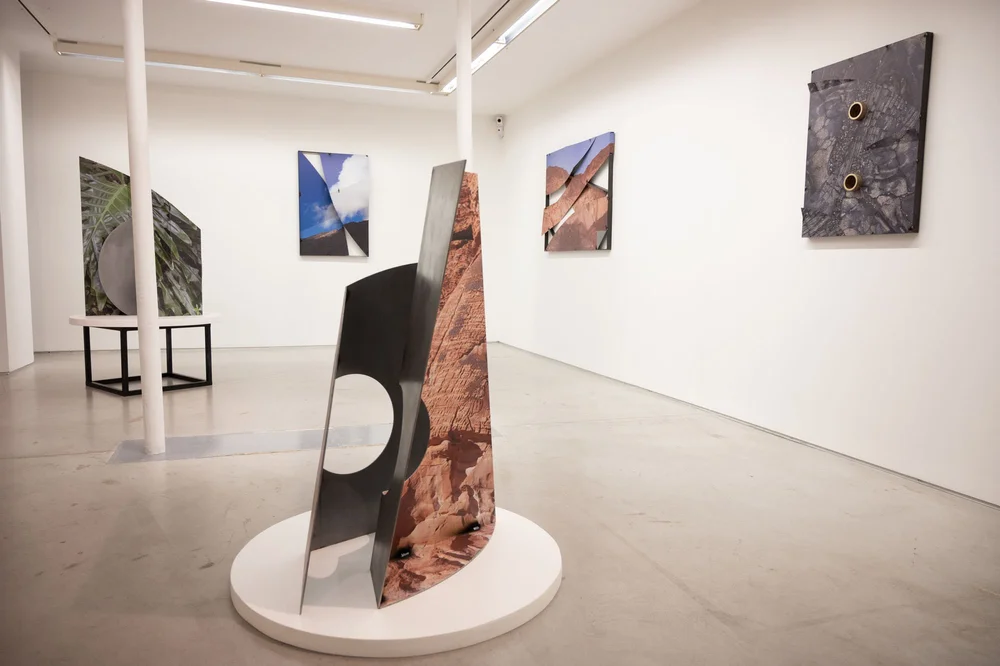 Artist Letha Wilson — The Artist Profile Archive