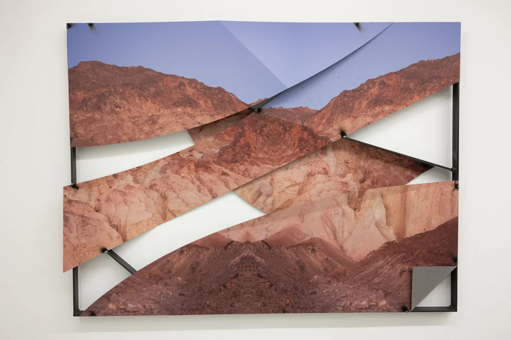 Artist Letha Wilson — The Artist Profile Archive