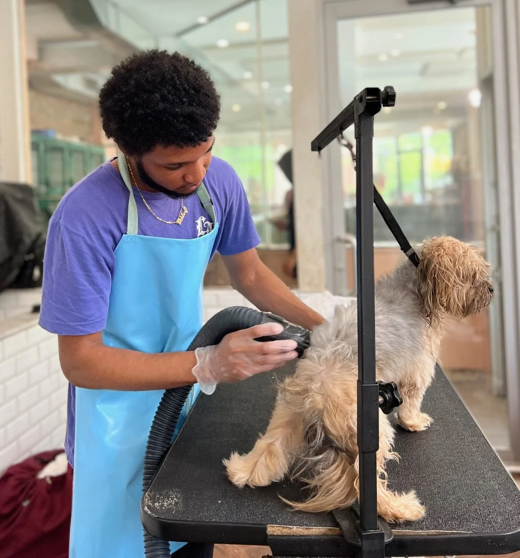 Team — Zen Animals : Holistic Pet Spa