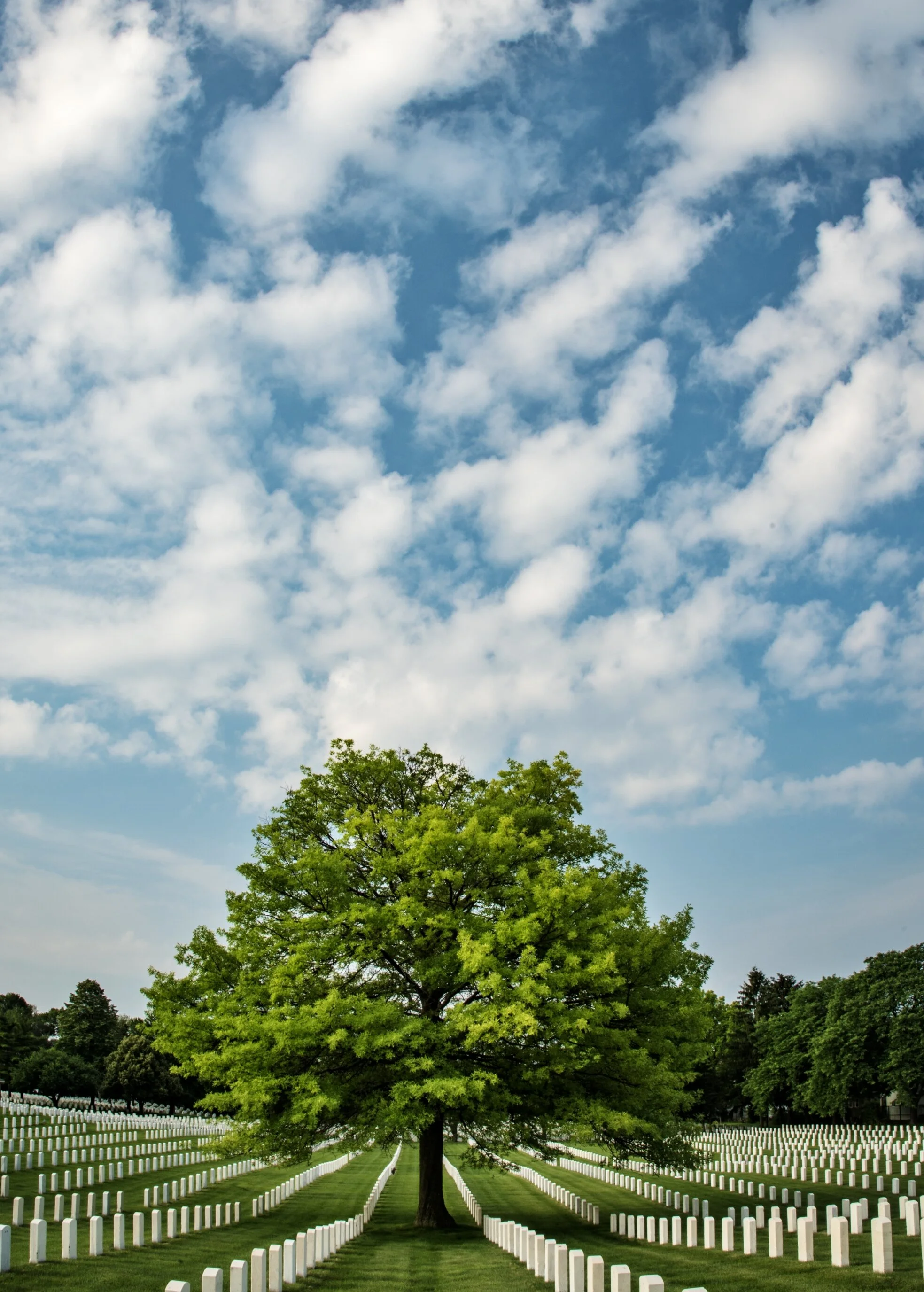Humankind — Bryan Andresen Photography: The Natural World Explored