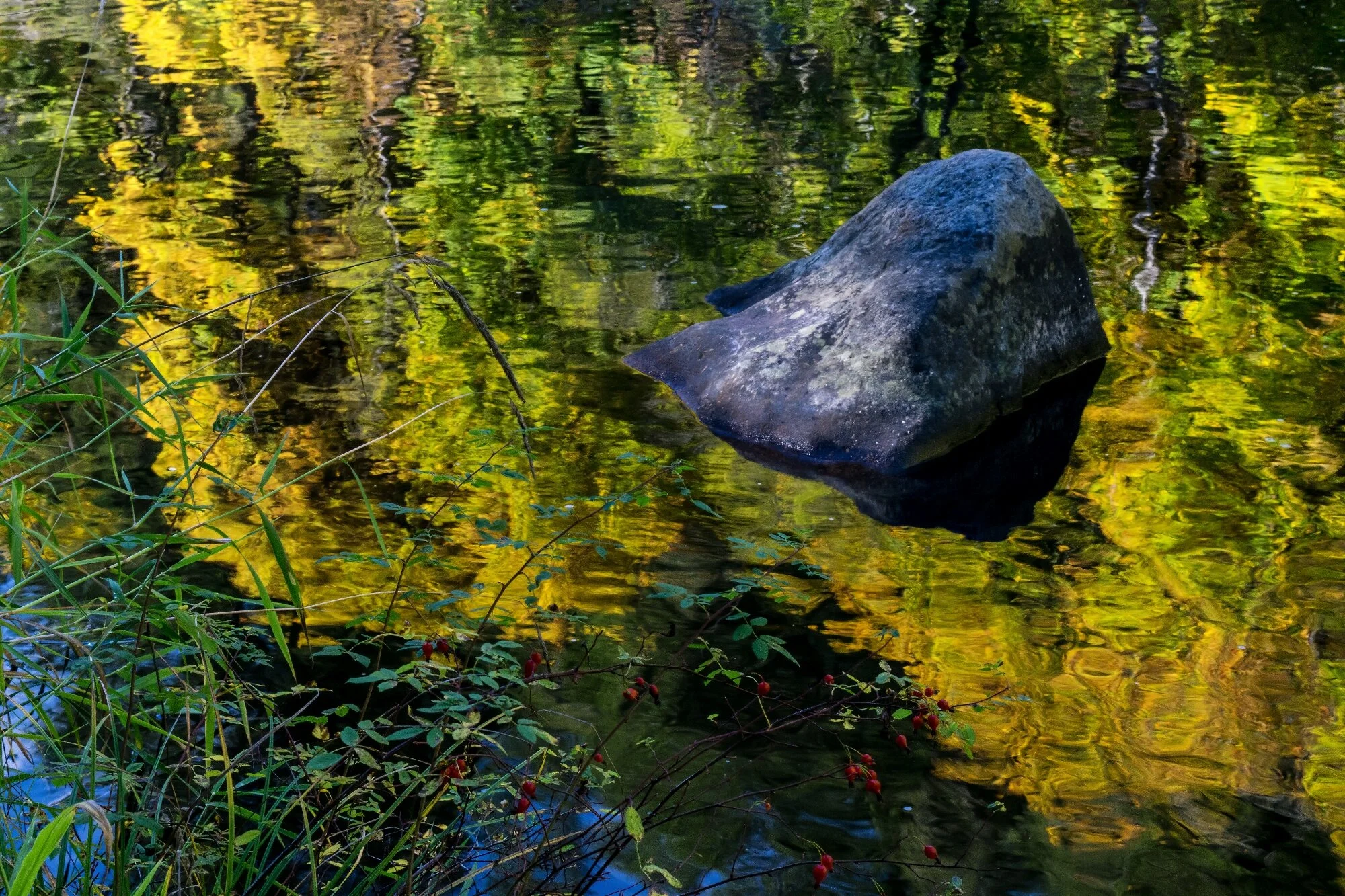 Playing with Light — Bryan Andresen Photography: The Natural World Explored