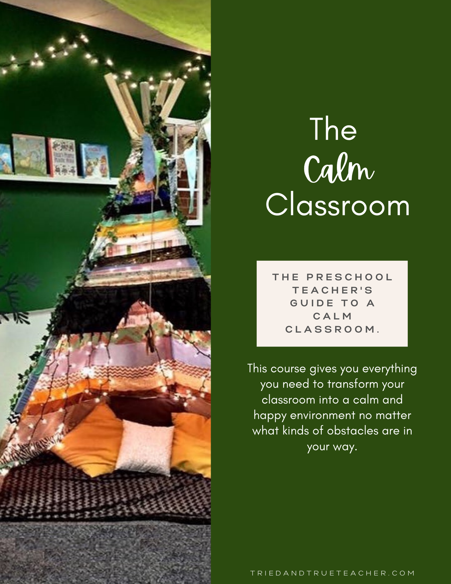 Classroom Management and Training Teaching Course with Tried and True ...