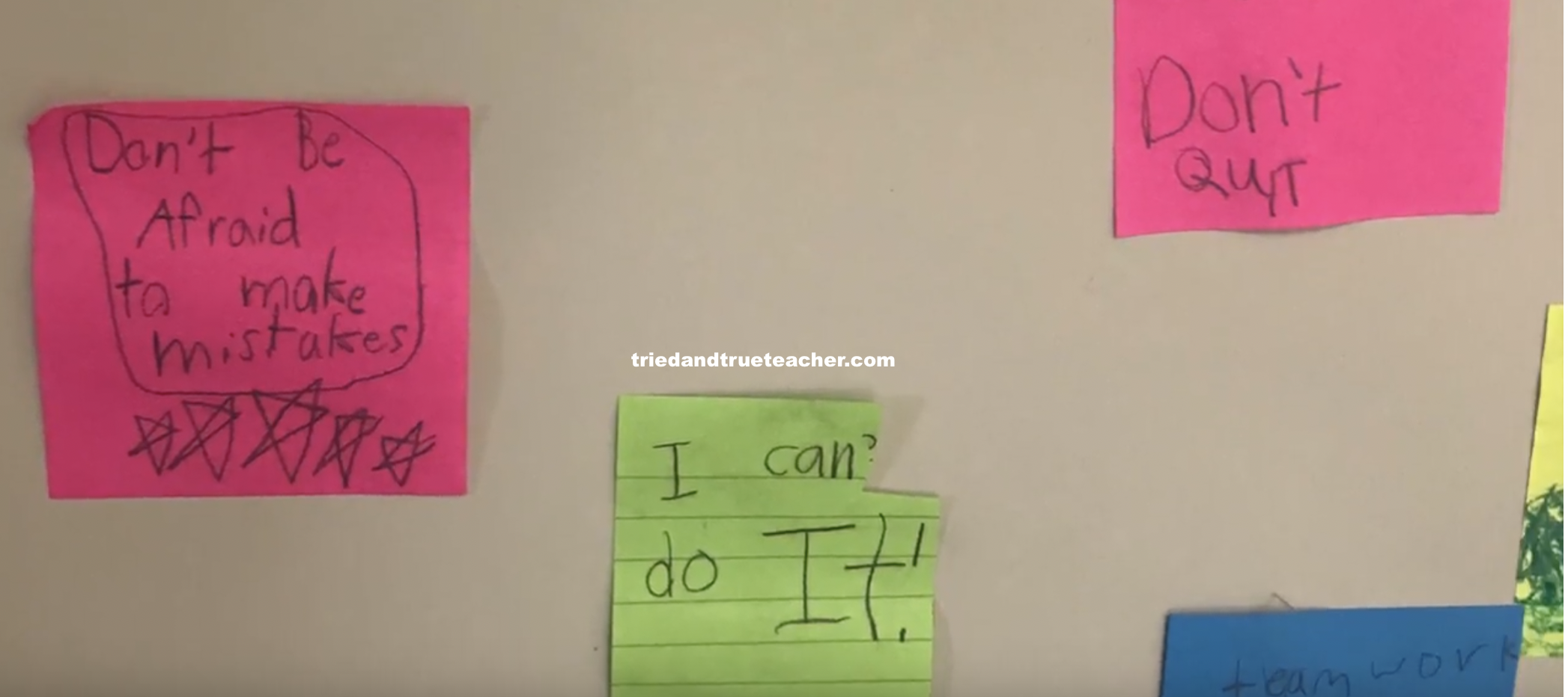 Our School Cafeteria Was Out Of Control… Here’s How We Fixed It ...