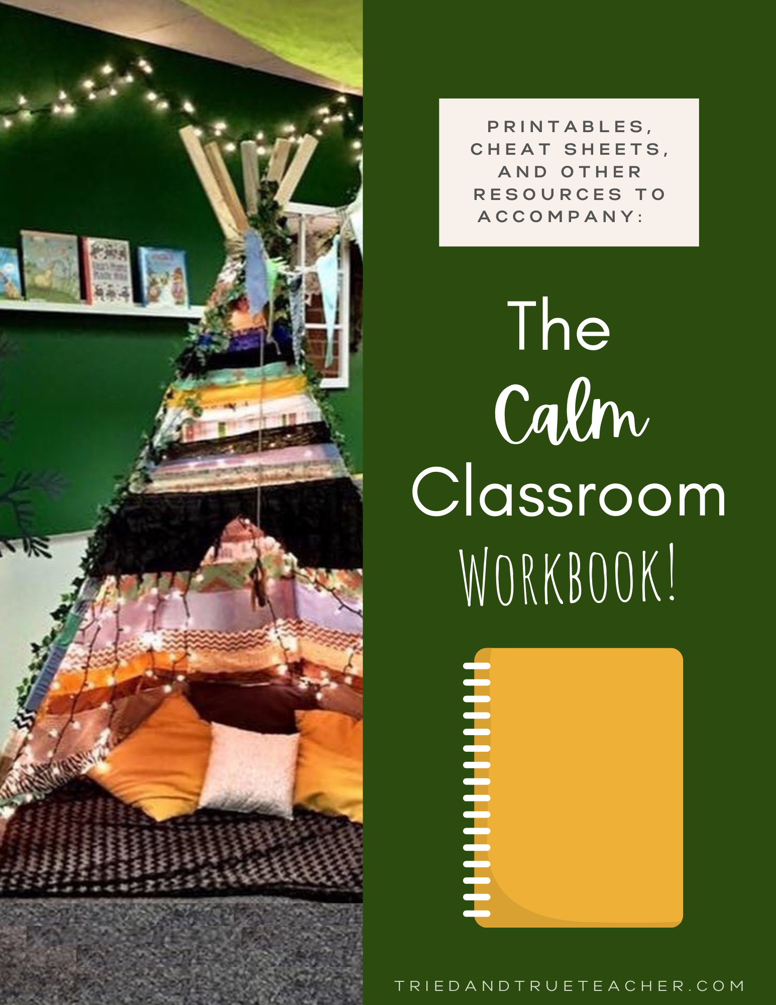 Classroom Management and Training Teaching Course with Tried and True ...