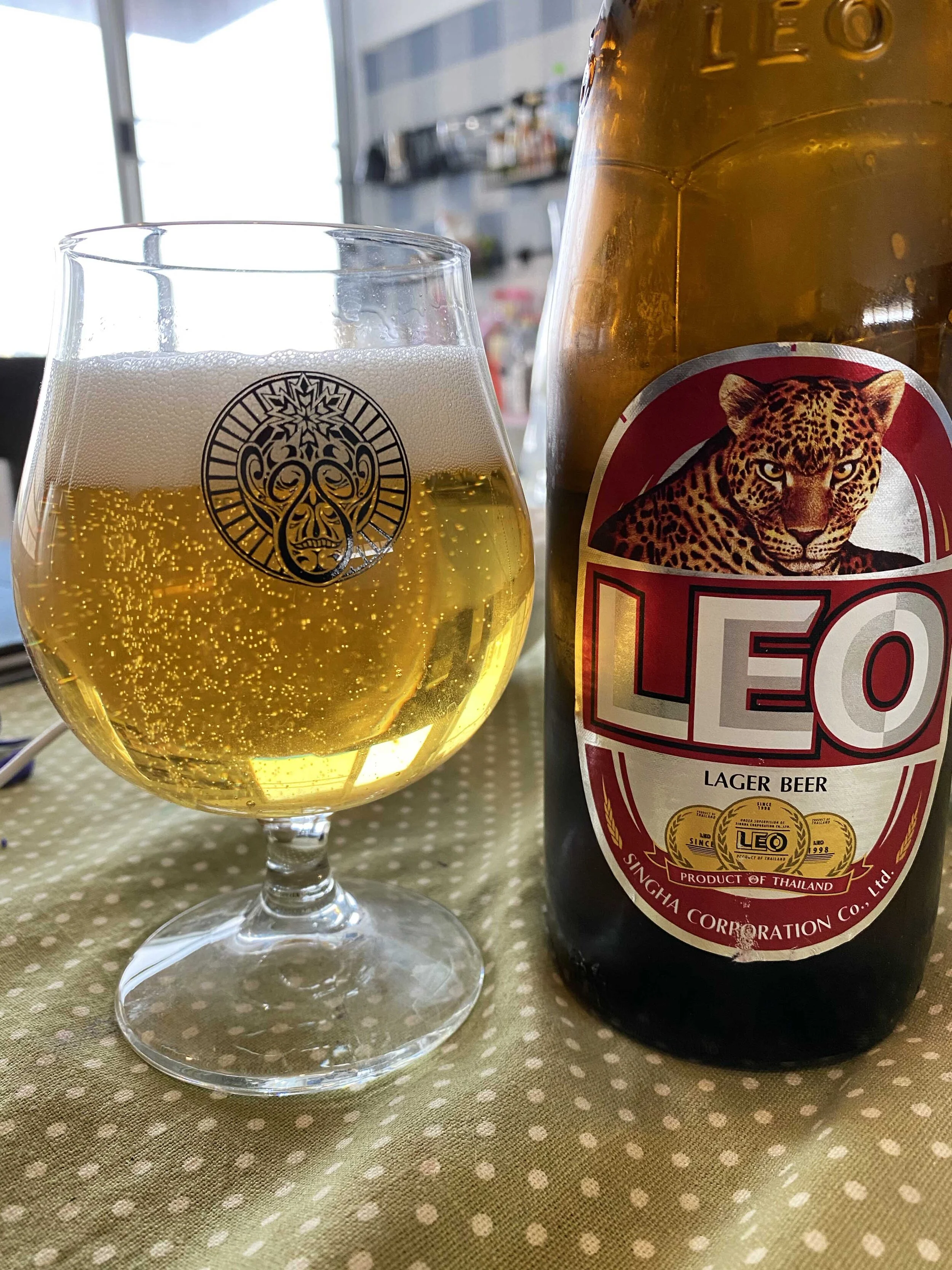 Leo Beer's Instagram, Twitter & Facebook on IDCrawl