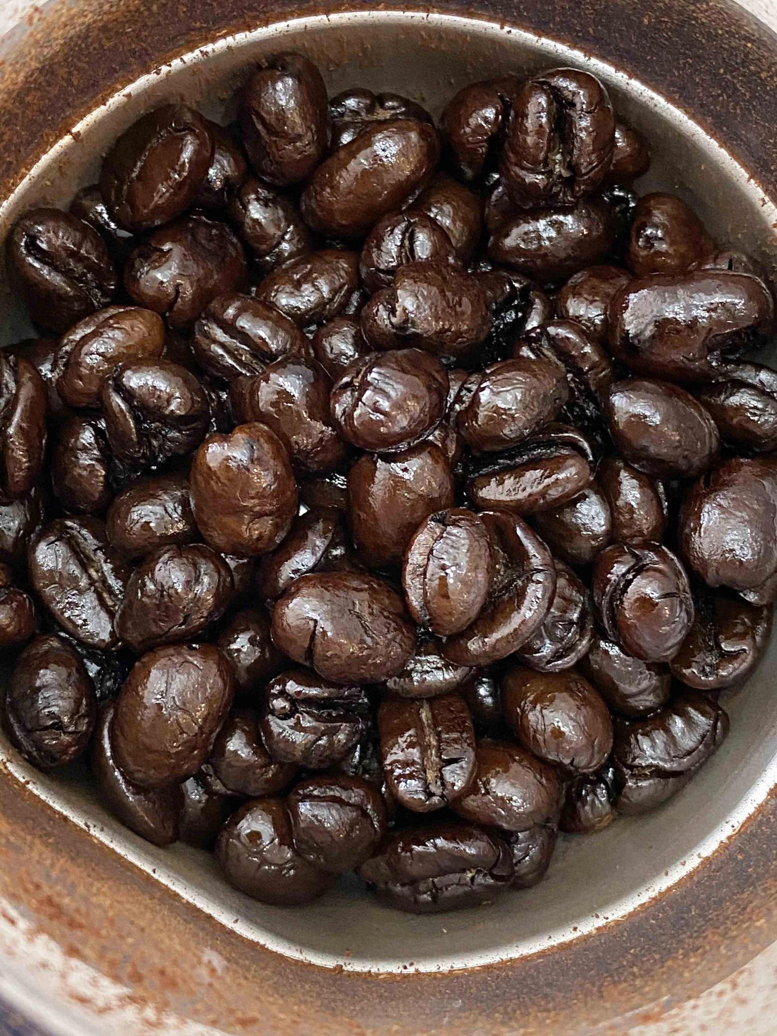 Zapa Coffee — distraught pigeon