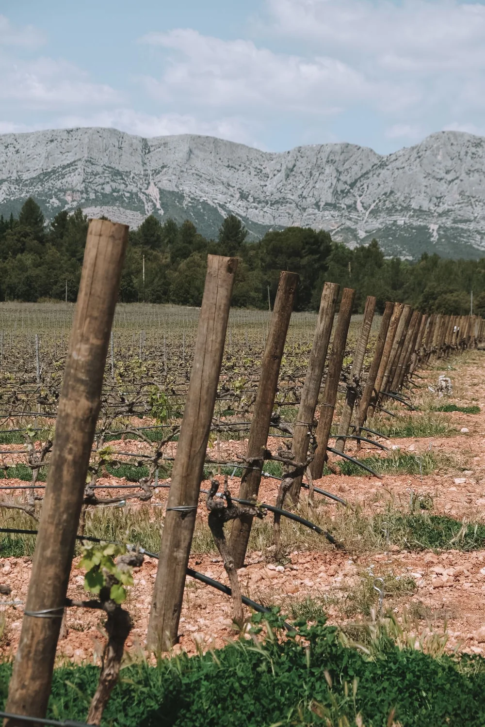 Itinerary: 6 Days in Provence — Going Home Broke