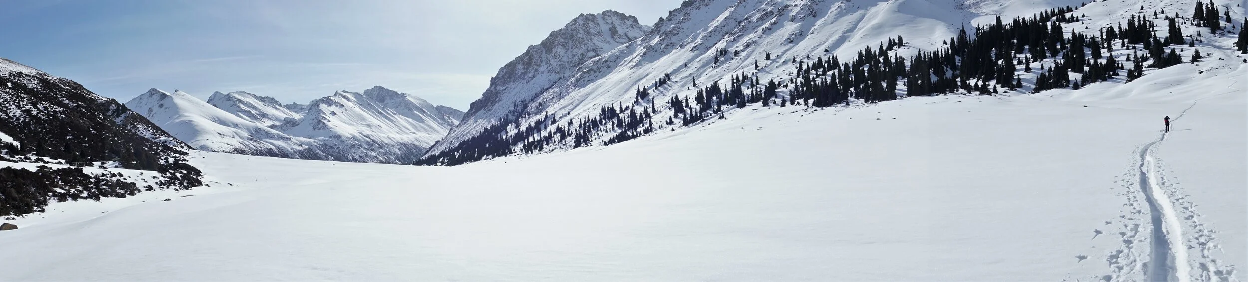 Avalanche Basics — Backdrop Journal