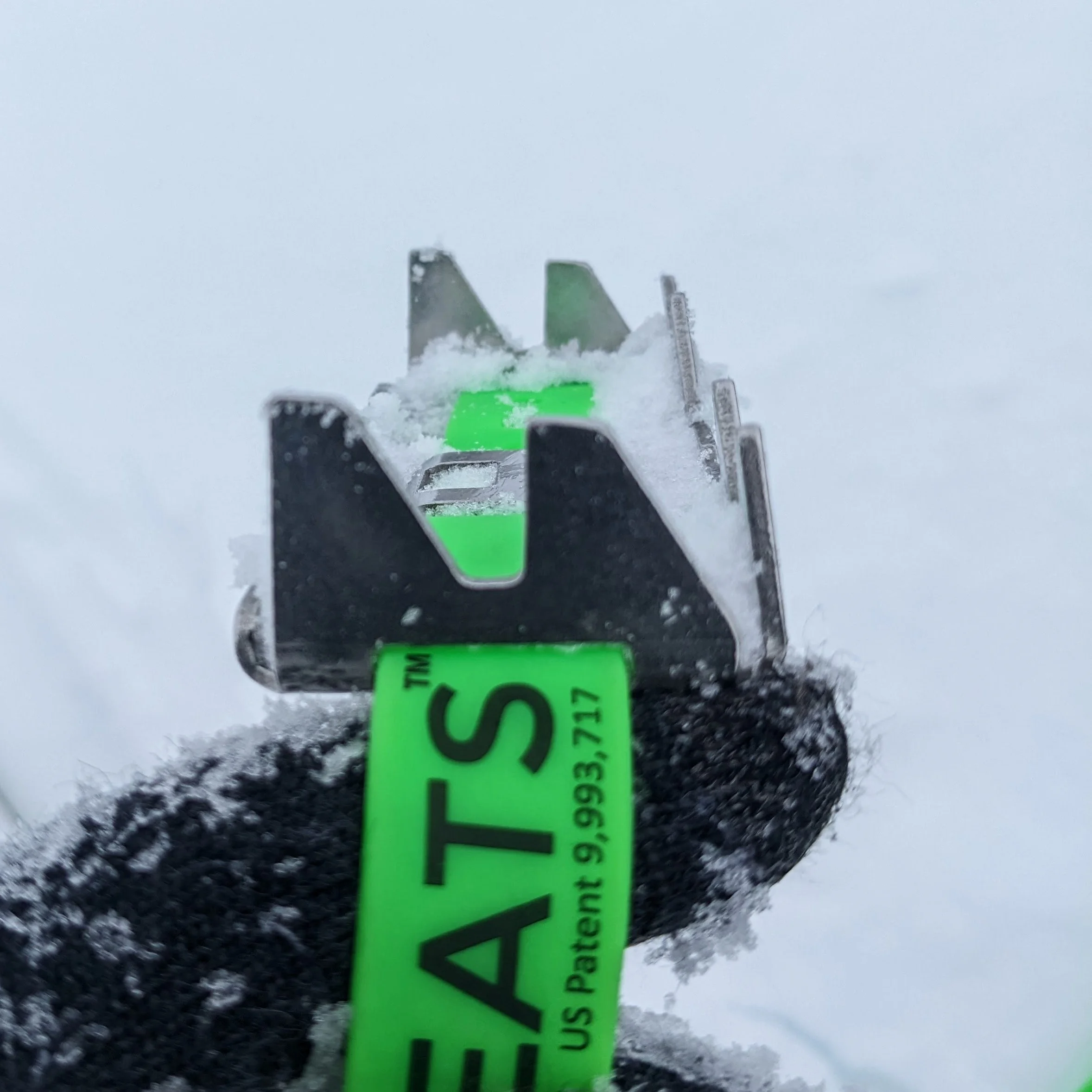 Skeats™ Claws — Backdrop Journal