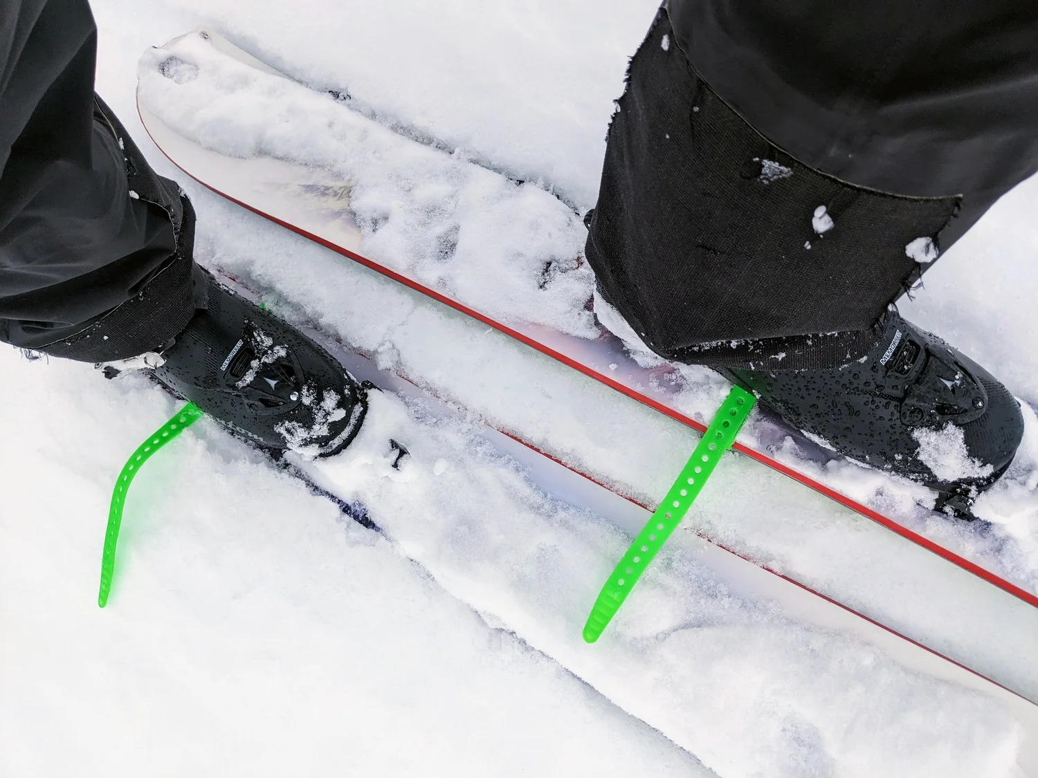 Skeats™ Claws — Backdrop Journal