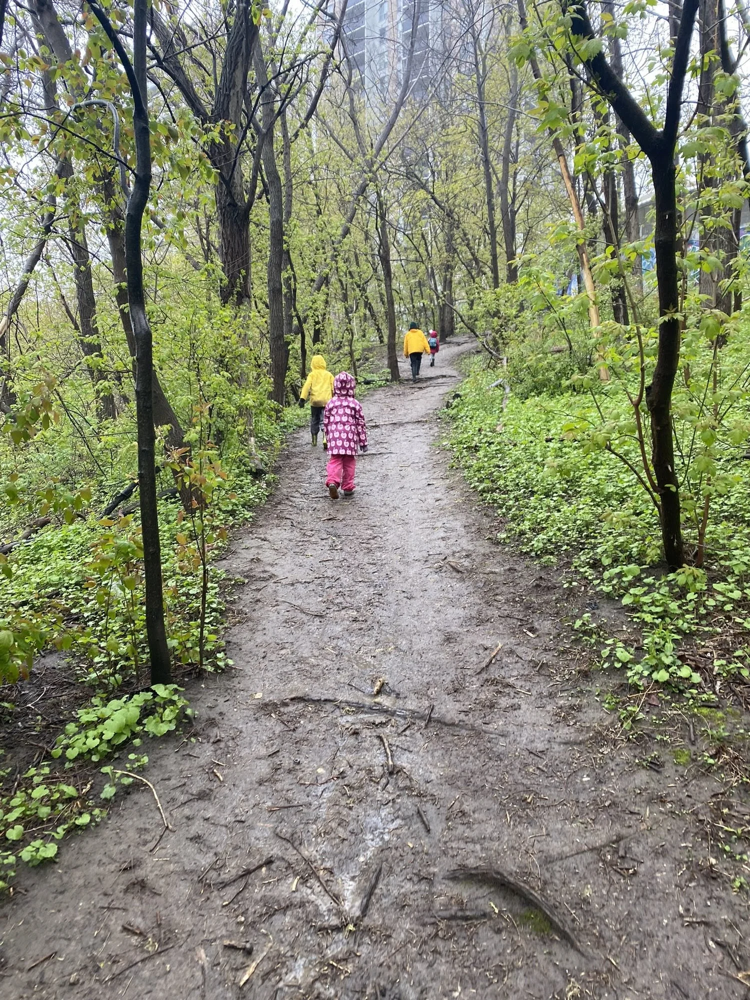 Mental Health and the Outdoors — DAVIS OCCUPATIONAL THERAPY