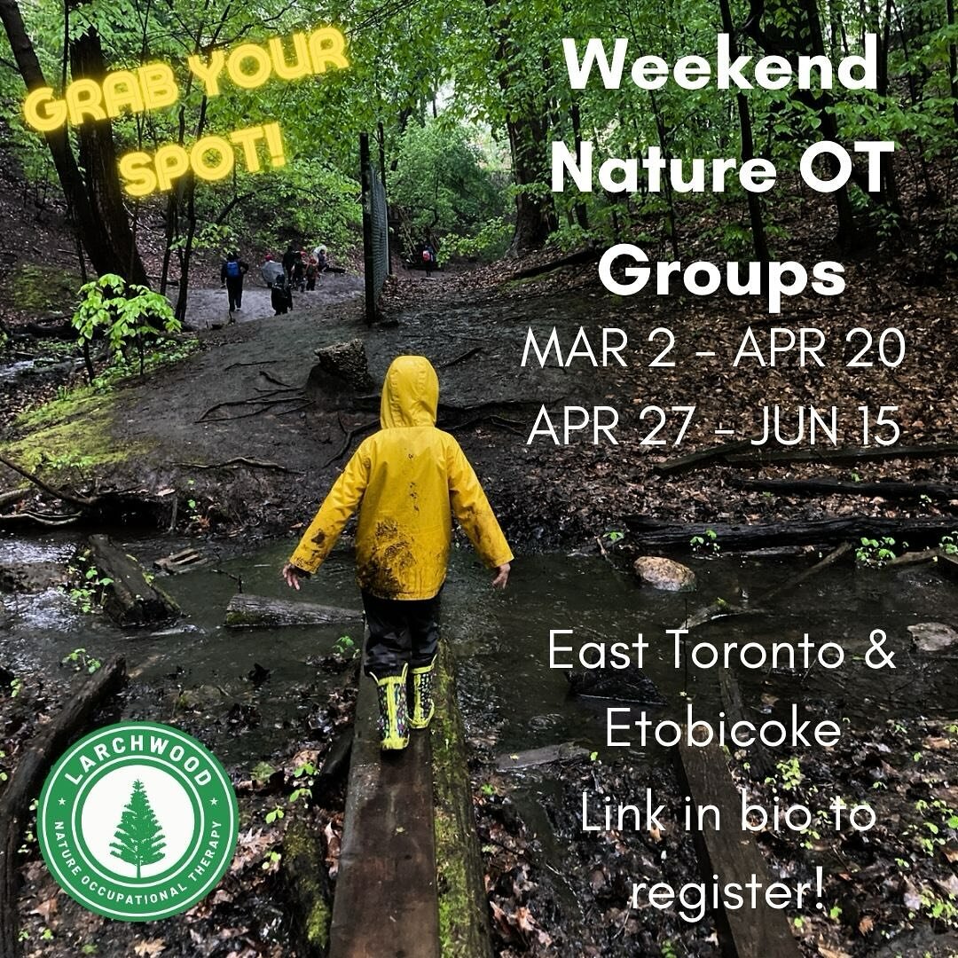 Nature OT Groups — DAVIS OCCUPATIONAL THERAPY