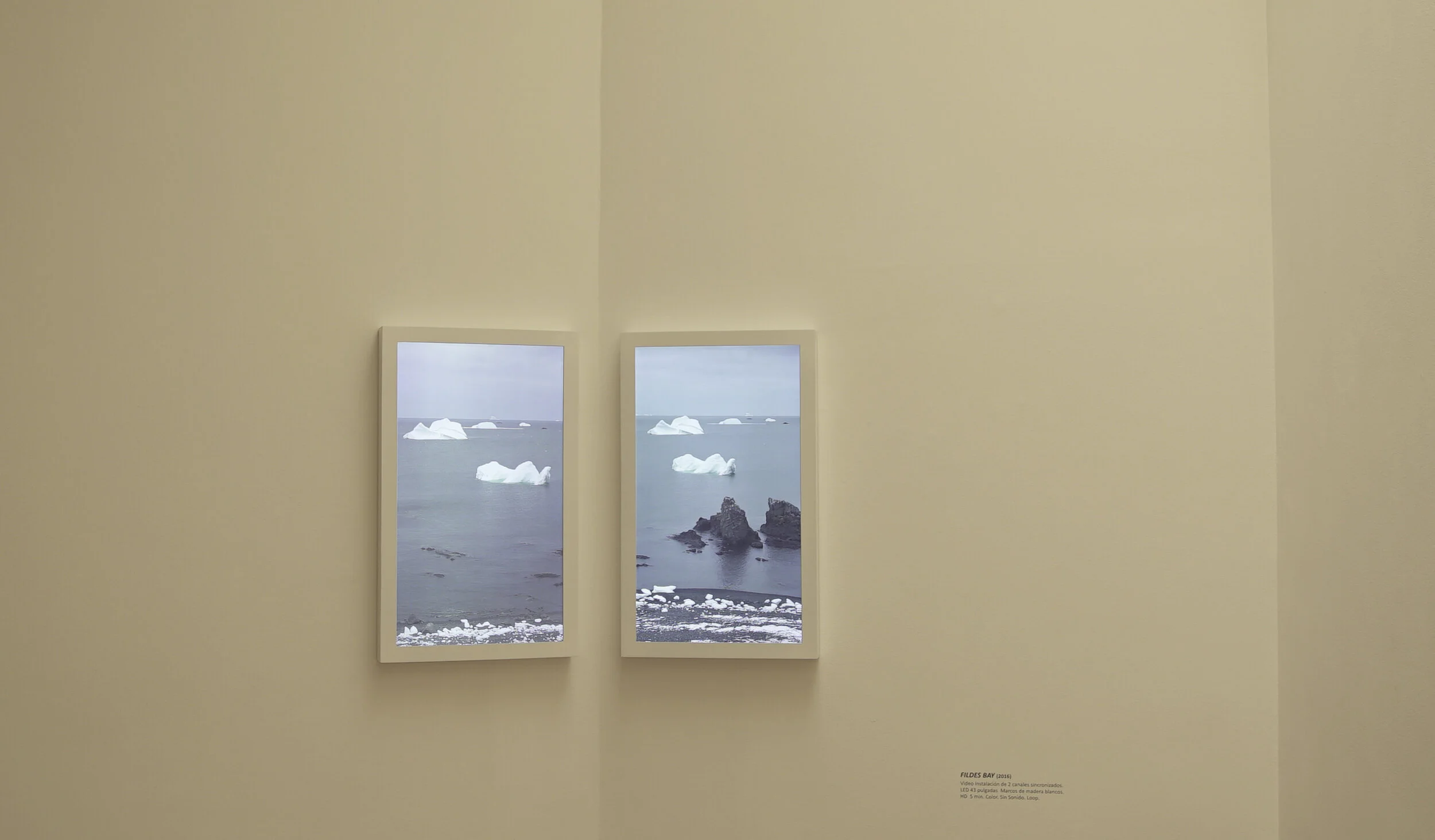 Obras Gianfranco Foschino — Aninat Galería