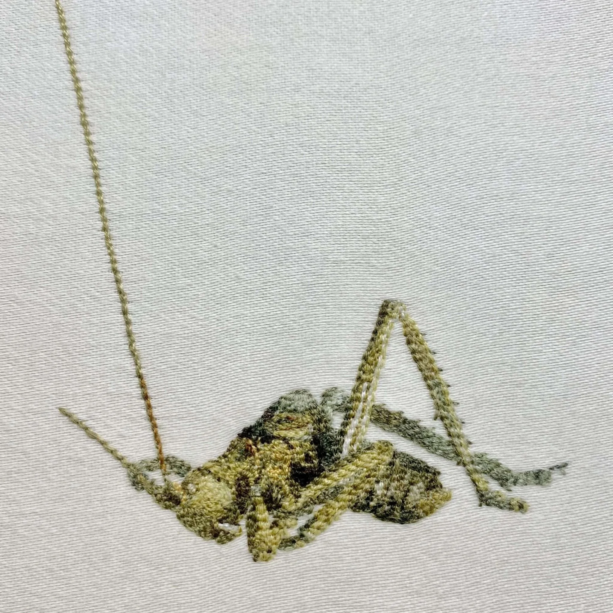 "Insecta" de Mónica Bengoa en U. de Talca en Santiago — Aninat Galería