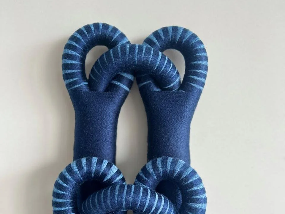 Obras Agostina Branchi — Aninat Galería