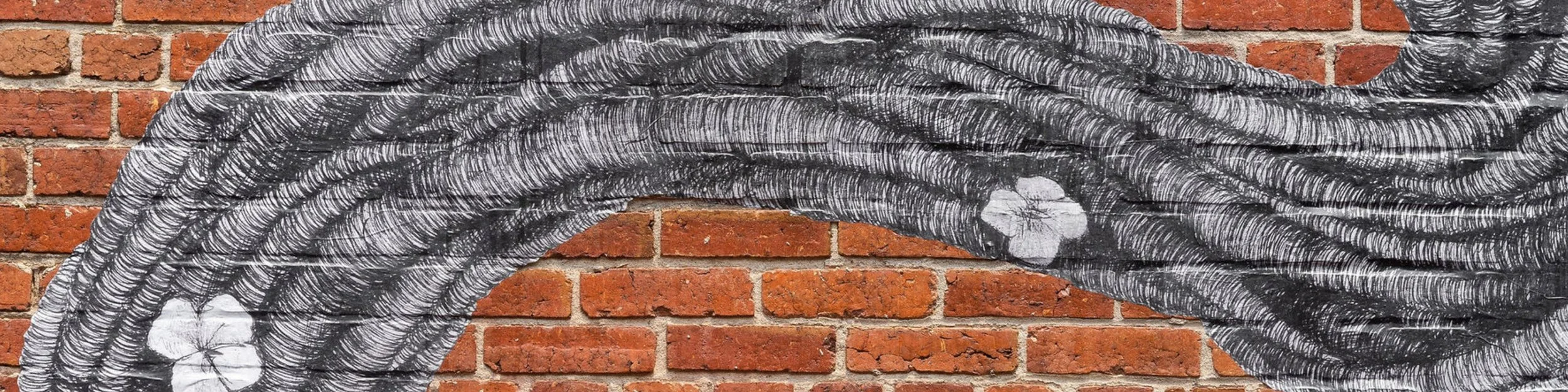 SPECIAL PROJECTS — The Nicholson Project