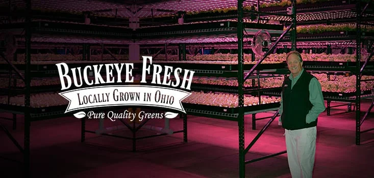 About Us - Indoor Vertical Farming — Buckeye Fresh