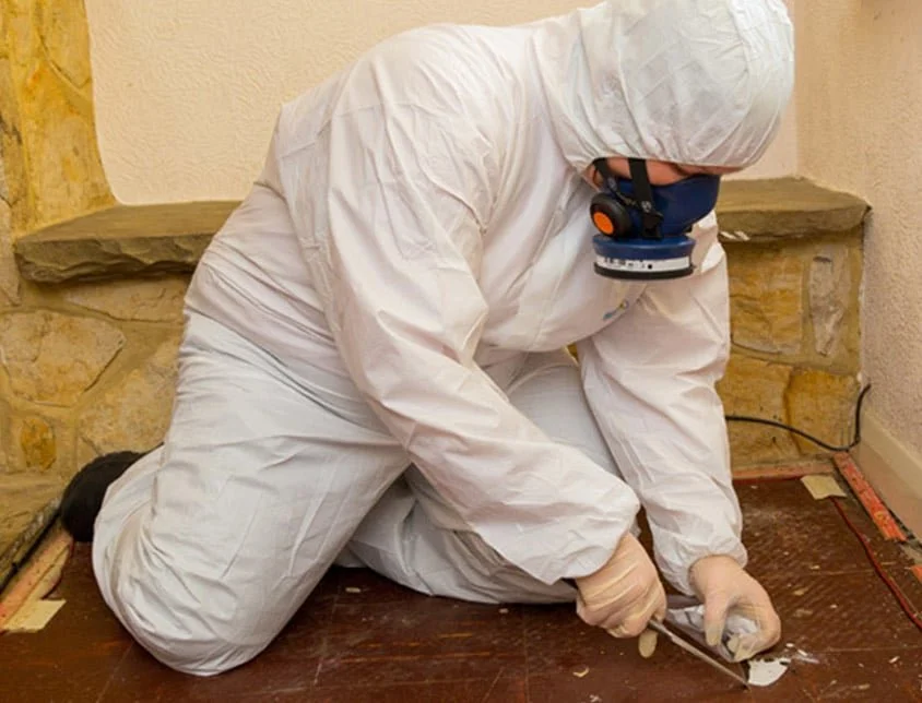 Anglian Environmental Asbestos Solutions