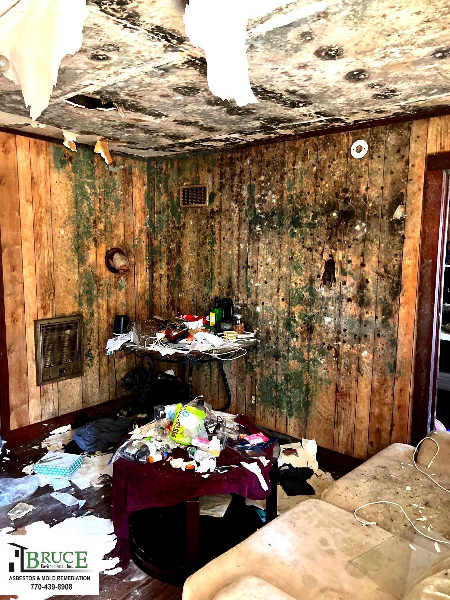 Bruce Environmental Inc.-Asbestos Testing, Abatement and Mold Remediation