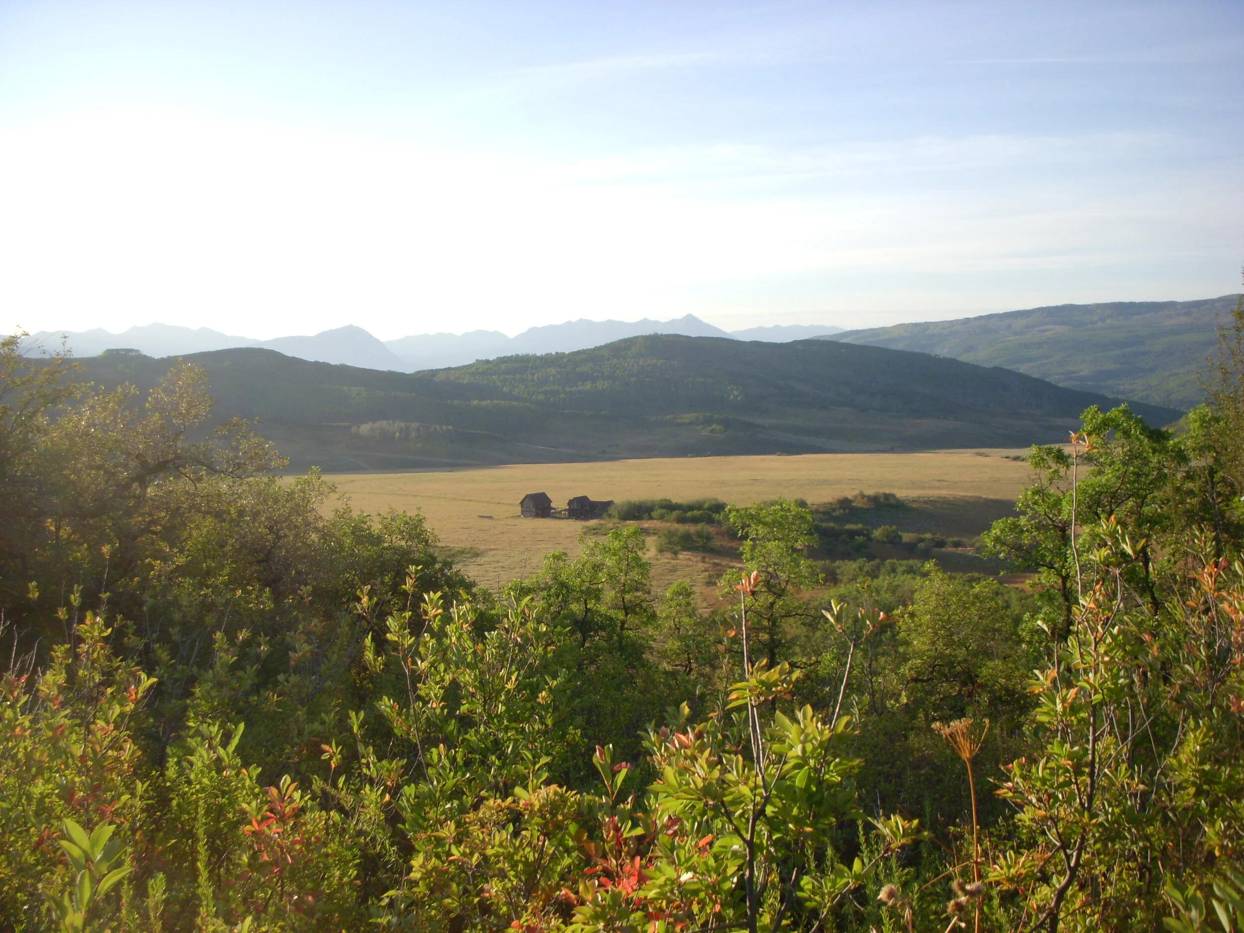 Hunting Bar K — Bar k ranch