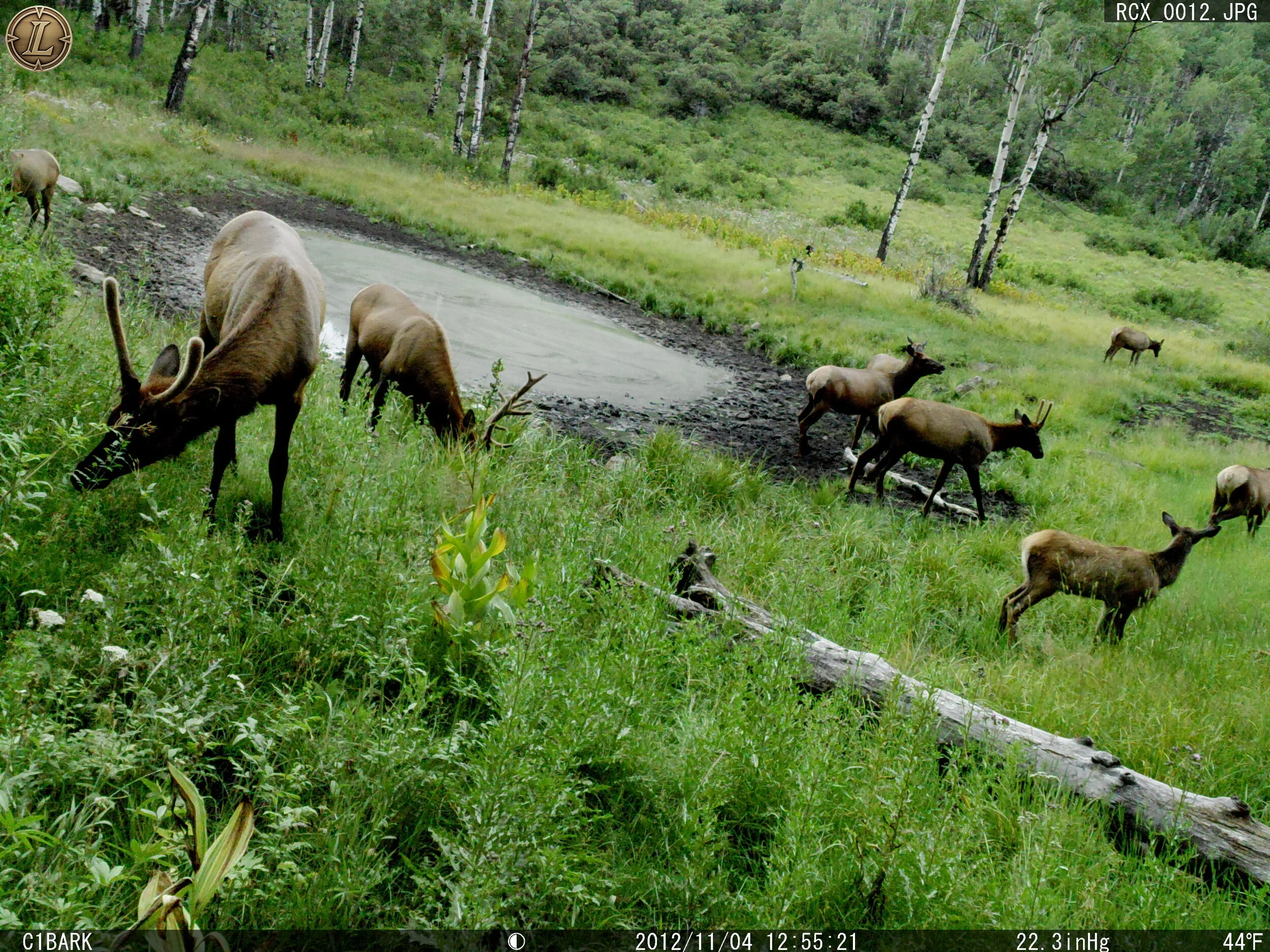 Hunting Bar K — Bar k ranch