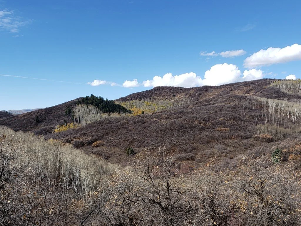 Photo Gallery — Bar k ranch