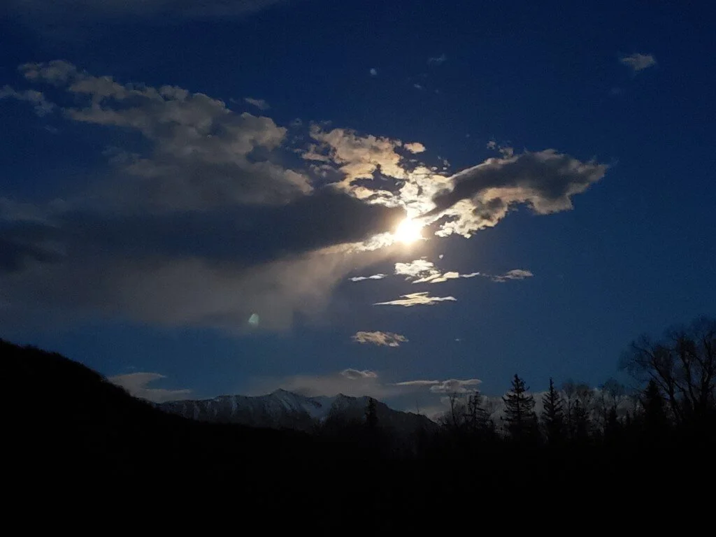 Photo Gallery — Bar k ranch