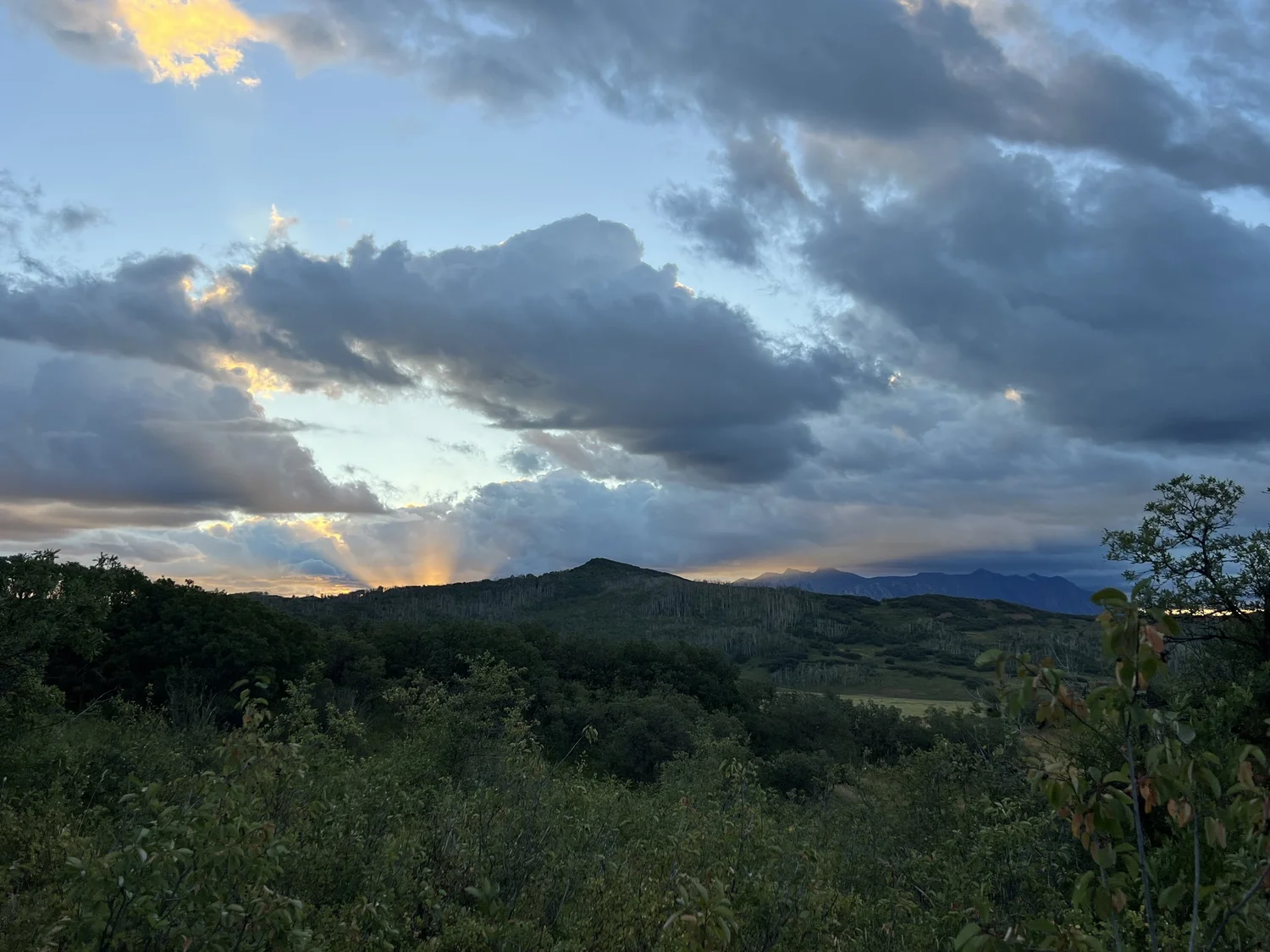 Bar k ranch