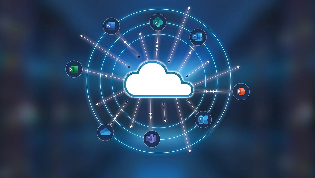 Project Gallery — Michelle Redmon